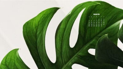 March 2023 wallpapers – 55 FREEBIES for desktop & phones!