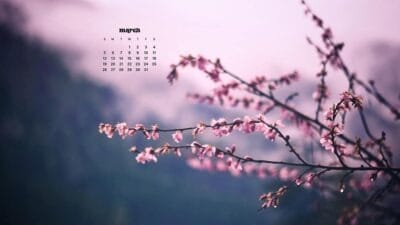 March 2023 wallpapers – 55 FREEBIES for desktop & phones!