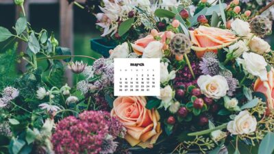 March 2023 wallpapers – 55 FREEBIES for desktop & phones!