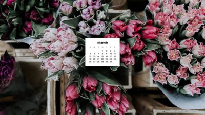 March 2023 wallpapers – 55 FREEBIES for desktop & phones!