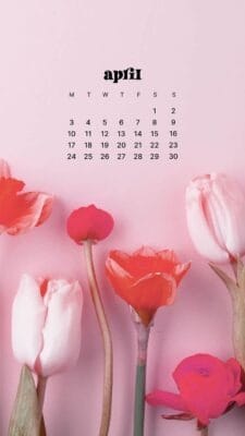 April 2023 wallpapers – 55 FREEBIES for desktop & phones!