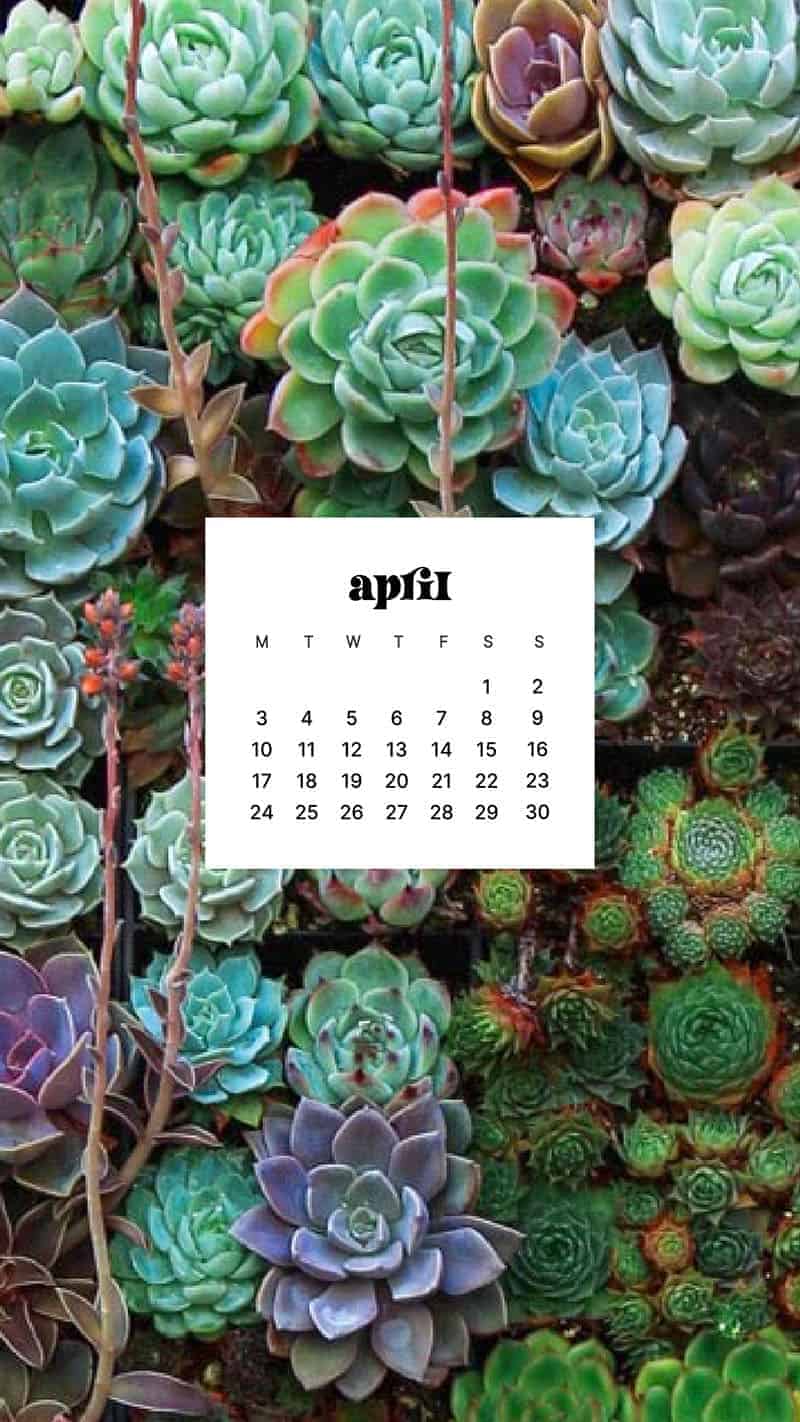 April 2023 wallpapers – 55 FREEBIES for desktop & phones!