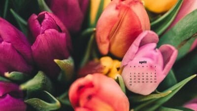 April 2023 wallpapers – 55 FREEBIES for desktop & phones!