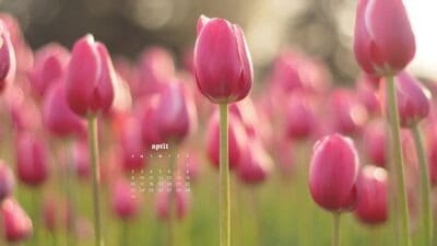 April 2023 wallpapers – 55 FREEBIES for desktop & phones!