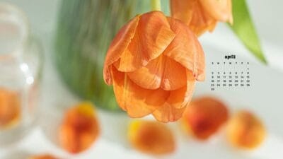 April 2023 wallpapers – 55 FREEBIES for desktop & phones!