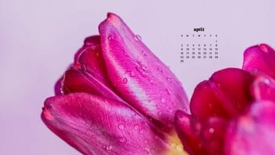 April 2023 wallpapers – 55 FREEBIES for desktop & phones!