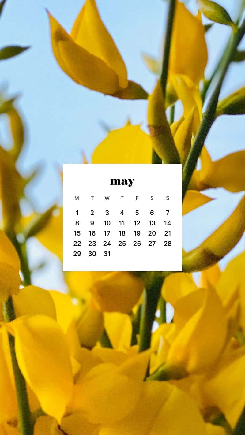 May 2023 wallpapers – 45 FREEBIES for desktop & phones!