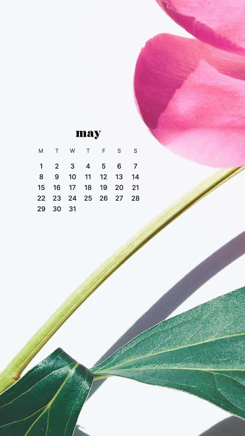 May 2023 wallpapers – 45 FREEBIES for desktop & phones!
