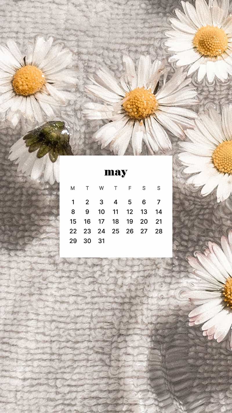 May 2023 wallpapers – 45 FREEBIES for desktop & phones!