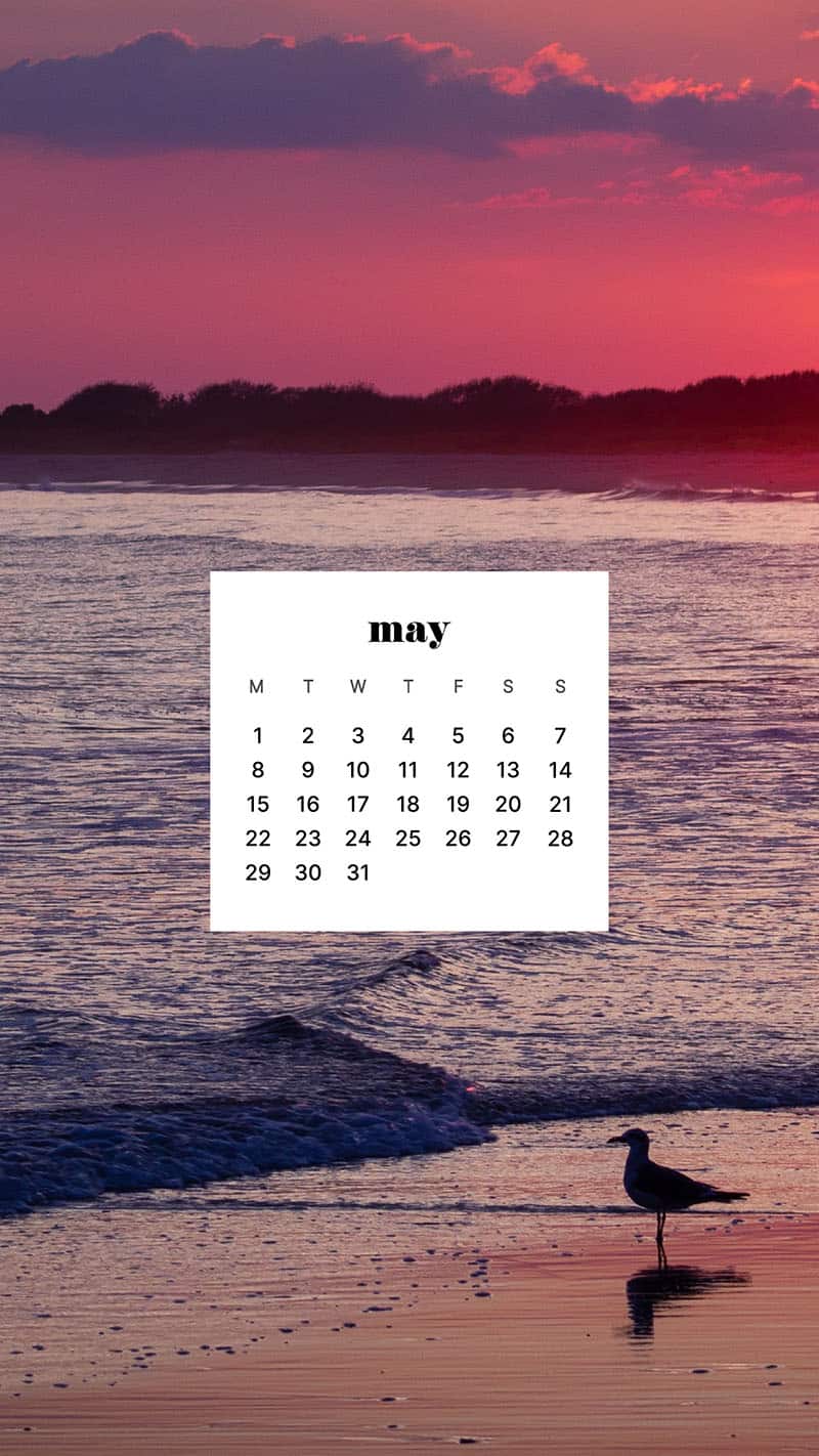 May 2023 wallpapers – 45 FREEBIES for desktop & phones!