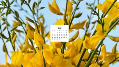 May 2023 wallpapers – 45 FREEBIES for desktop & phones!