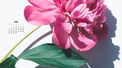 May 2023 wallpapers – 45 FREEBIES for desktop & phones!