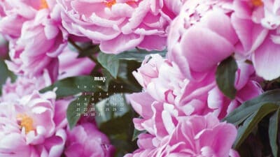 May 2023 wallpapers – 45 FREEBIES for desktop & phones!