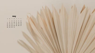 May 2023 wallpapers – 45 FREEBIES for desktop & phones!