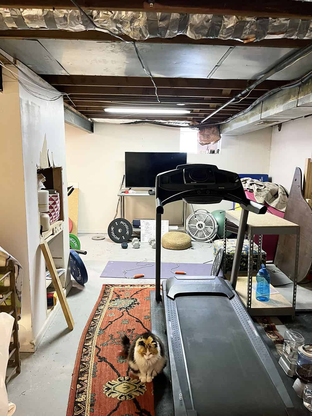 DIY basement update on a small budget — Phase 1 progress