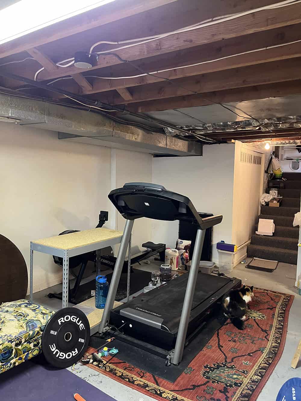 DIY basement update on a small budget — Phase 1 progress