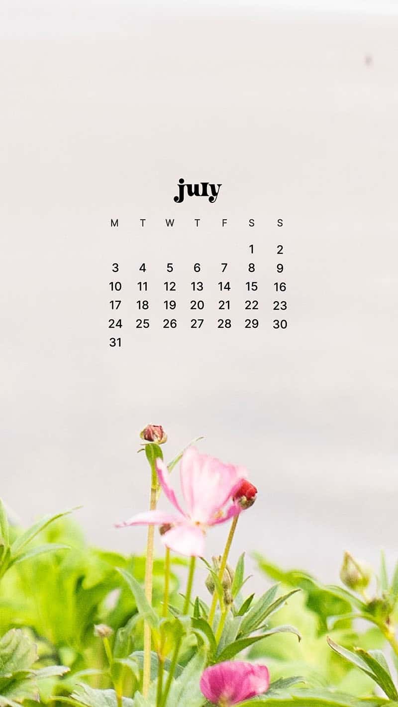 July 2023 wallpapers – 45 FREEBIES for desktop & phones!