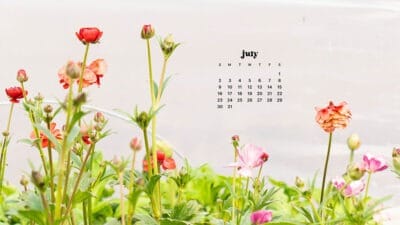 July 2023 wallpapers – 45 FREEBIES for desktop & phones!