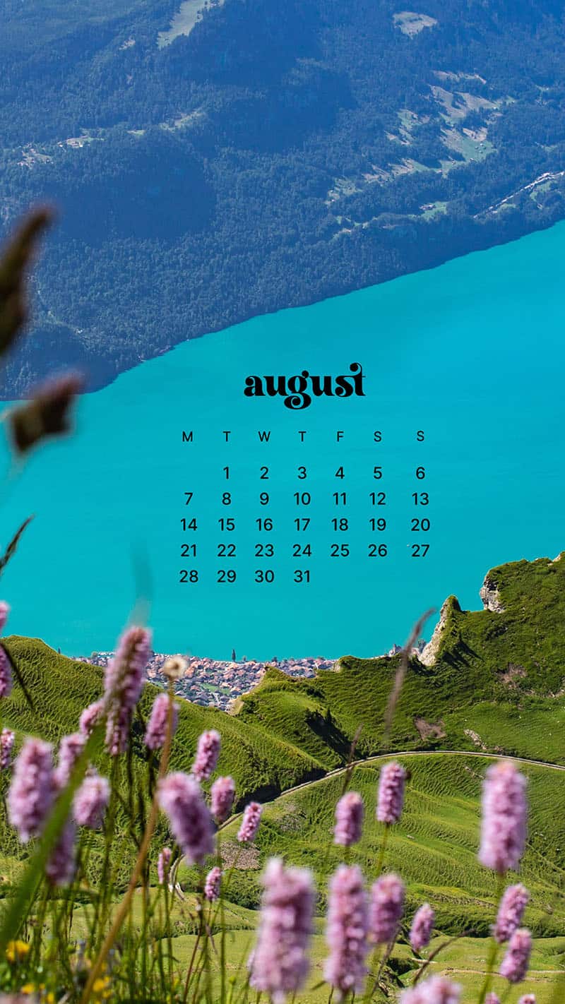 August 2023 wallpapers – 40 FREEBIES for desktop & phones!