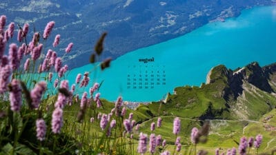 August 2023 wallpapers – 40 FREEBIES for desktop & phones!
