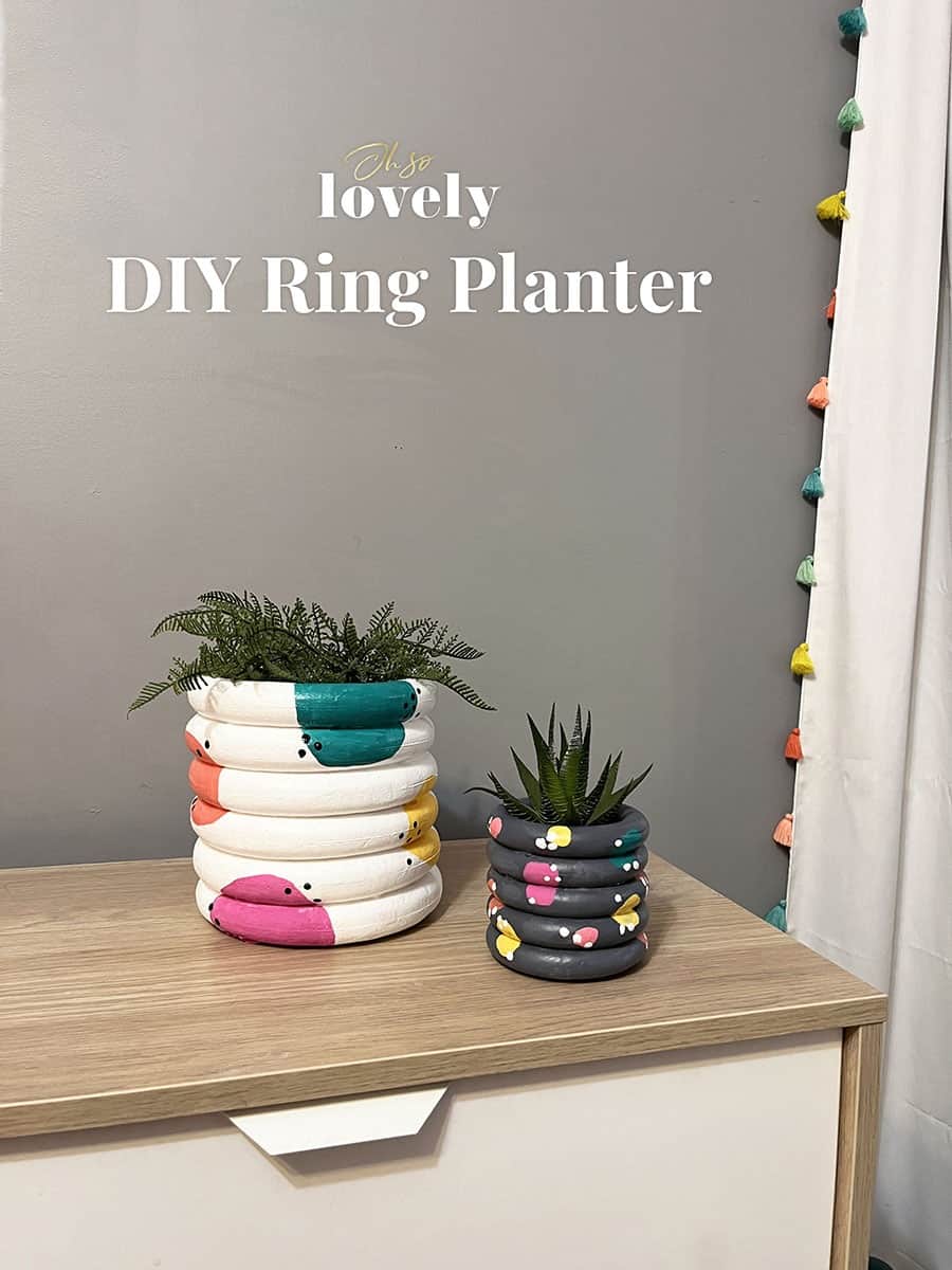 DIY ring planter and organizer — affordable, customizable & cute!