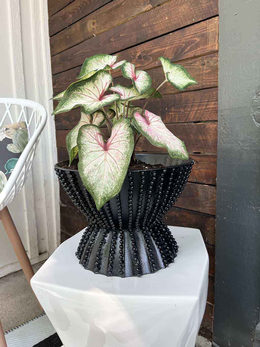 DIY Archives – Oh So Lovely Blog