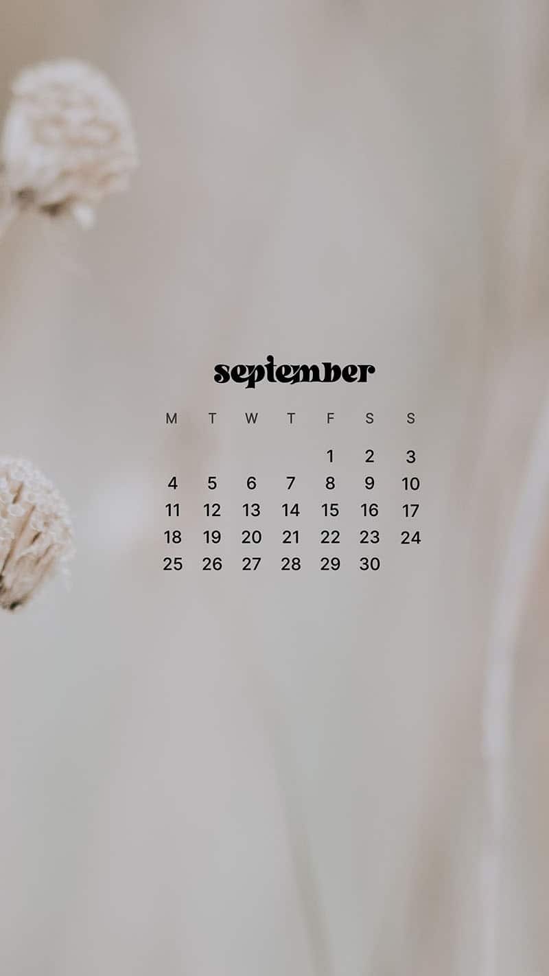 September 2023 wallpapers – 45 FREEBIES for desktop & phones!