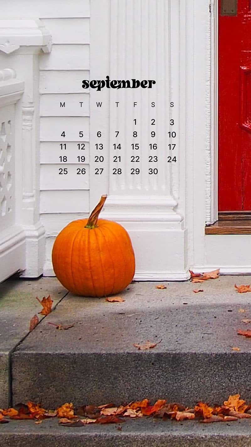 September 2023 wallpapers – 45 FREEBIES for desktop & phones!