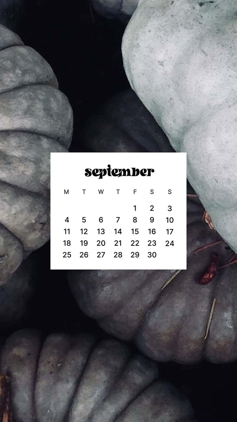 September 2023 wallpapers – 45 FREEBIES for desktop & phones!