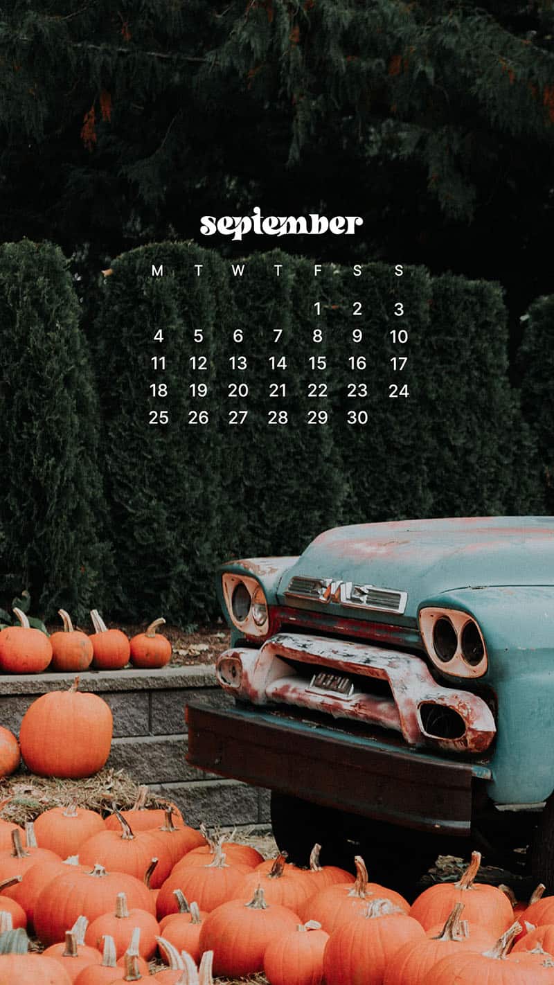 September 2023 wallpapers – 45 FREEBIES for desktop & phones!