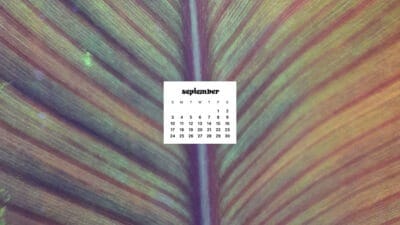 September 2023 wallpapers – 45 FREEBIES for desktop & phones!