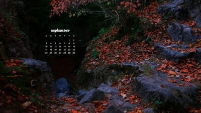 September 2023 wallpapers – 45 FREEBIES for desktop & phones!