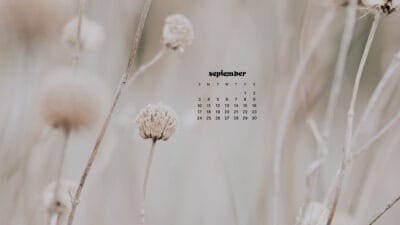 September 2023 wallpapers – 45 FREEBIES for desktop & phones!