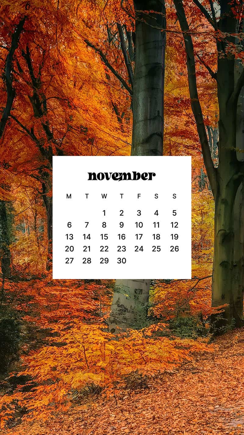 November 2023 wallpapers – 45 FREEBIES for desktop & phones!