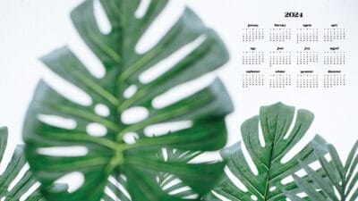 2024 desktop wallpapers – 100 FREE options Sun. & Mon. + no cal