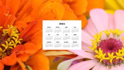 2024 desktop wallpapers – 100 FREE options Sun. & Mon. + no cal