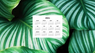 2024 desktop wallpapers – 100 FREE options Sun. & Mon. + no cal