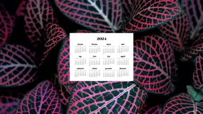 2024 desktop wallpapers – 100 FREE options Sun. & Mon. + no cal