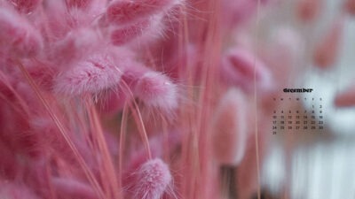 December 2023 wallpapers – 96 FREEBIES for desktop & phones!