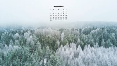 December 2023 wallpapers – 96 FREEBIES for desktop & phones!
