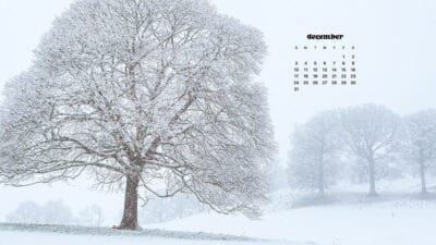 December 2023 wallpapers – 96 FREEBIES for desktop & phones!