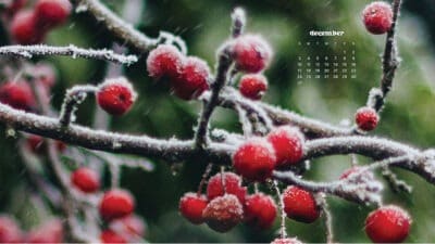 December 2023 wallpapers – 96 FREEBIES for desktop & phones!