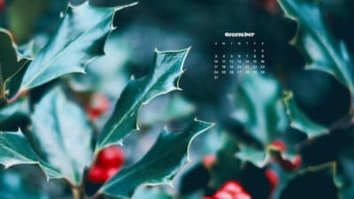 December 2023 wallpapers – 96 FREEBIES for desktop & phones!