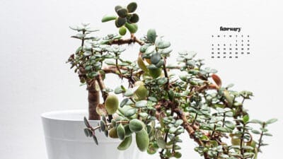 February 2024 wallpapers – 60 FREEBIES for desktop & phones!