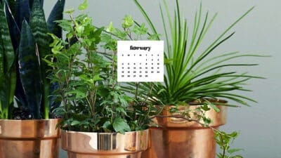 February 2024 wallpapers – 60 FREEBIES for desktop & phones!