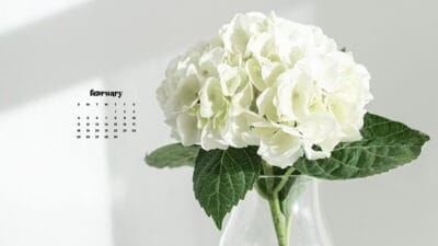 February 2024 wallpapers – 60 FREEBIES for desktop & phones!