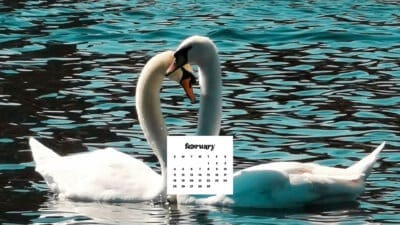 February 2024 wallpapers – 60 FREEBIES for desktop & phones!