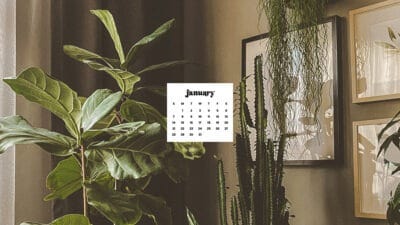 January 2024 wallpapers – 60 FREEBIES for desktop & phones!