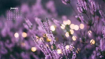 January 2024 wallpapers – 60 FREEBIES for desktop & phones!