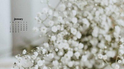 January 2024 wallpapers – 60 FREEBIES for desktop & phones!